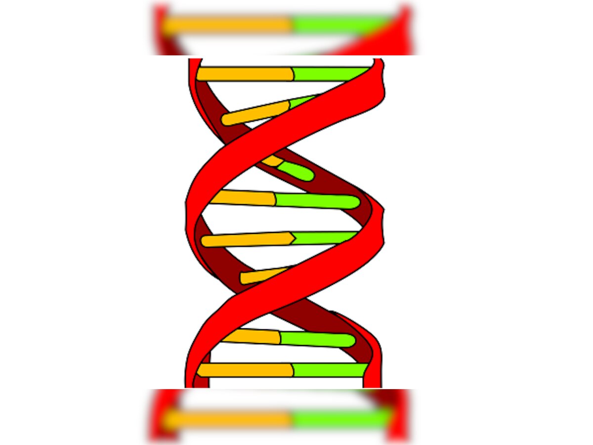 Genes may be behind your 'salty tooth': Study