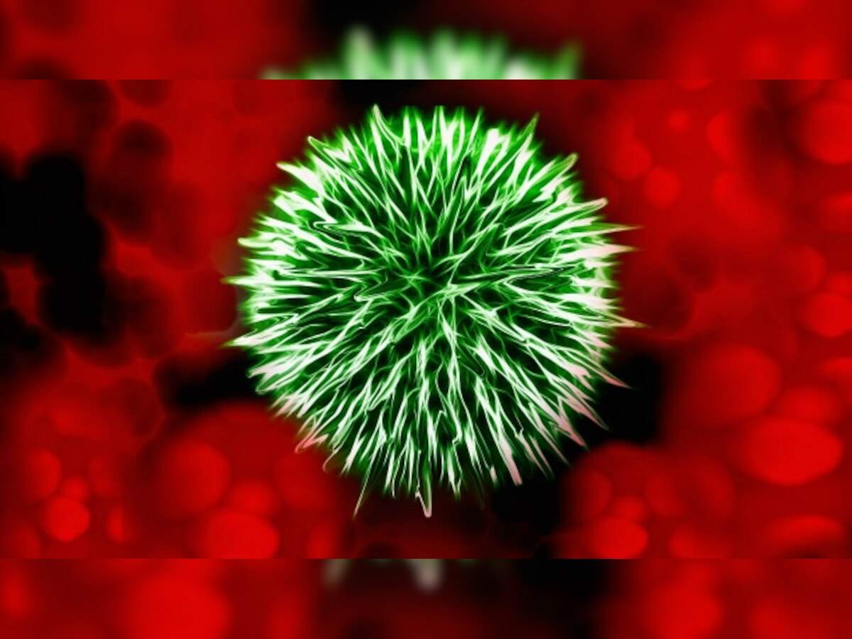 Bacteria-powered battery built on single sheet of paper