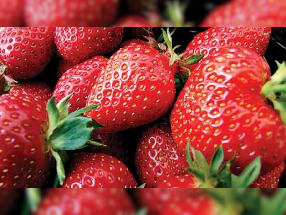 Strawberries may prevent growth of breast cancer cells, reduce tumour ...