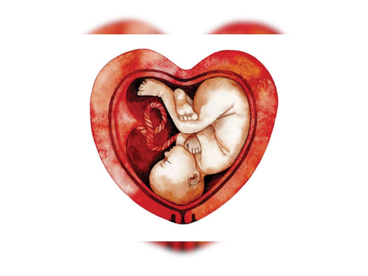 First womb transplant slated on May 18, Pune hospital readies for procedure