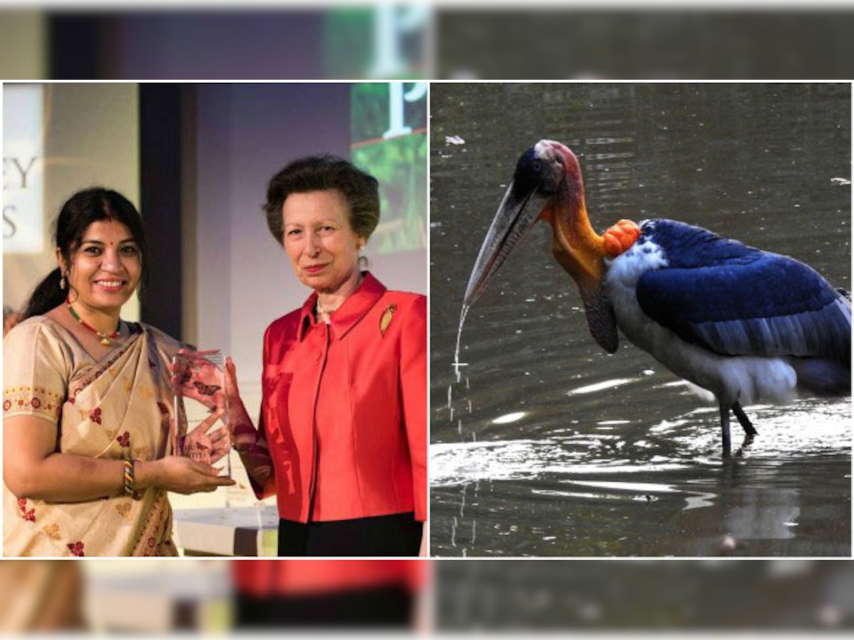 To keep the storks flying