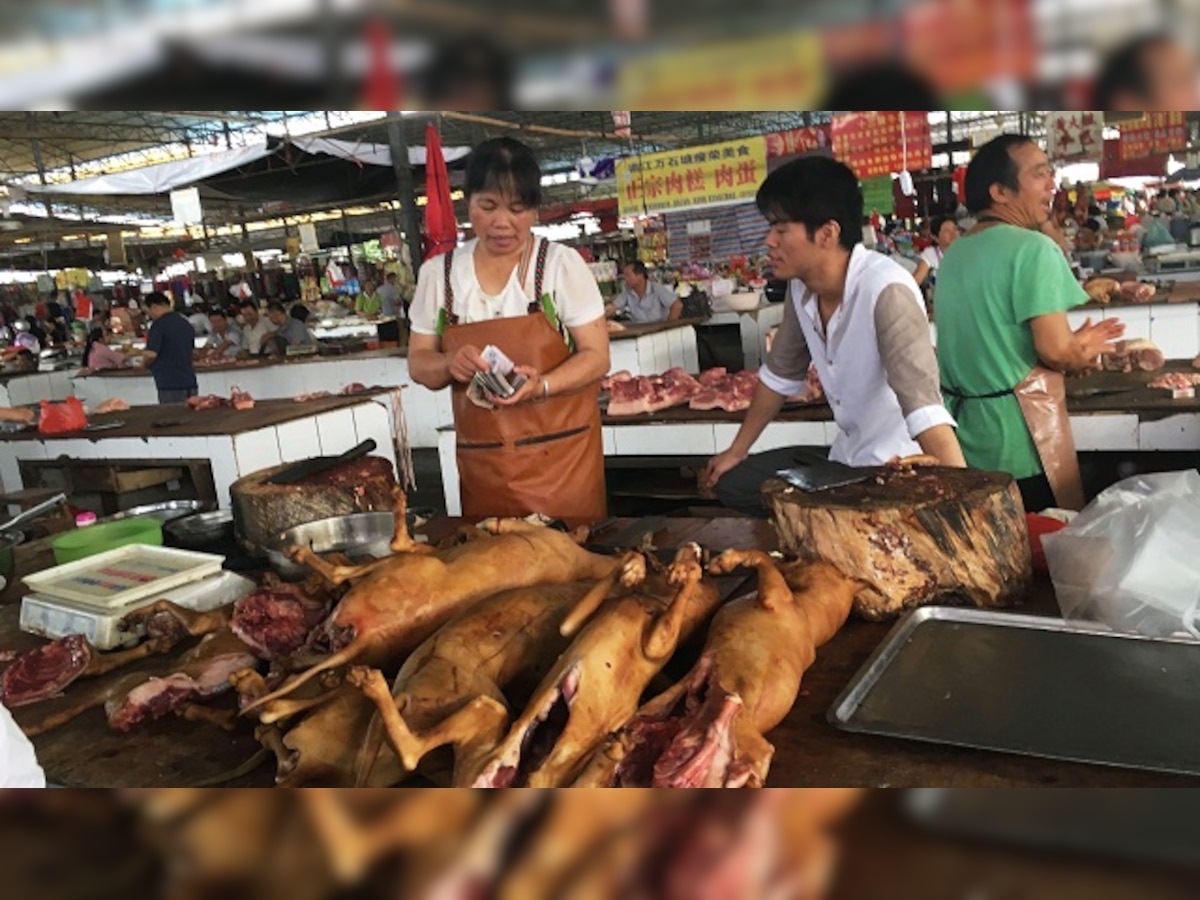 China's dog meat festival opens despite ban rumours