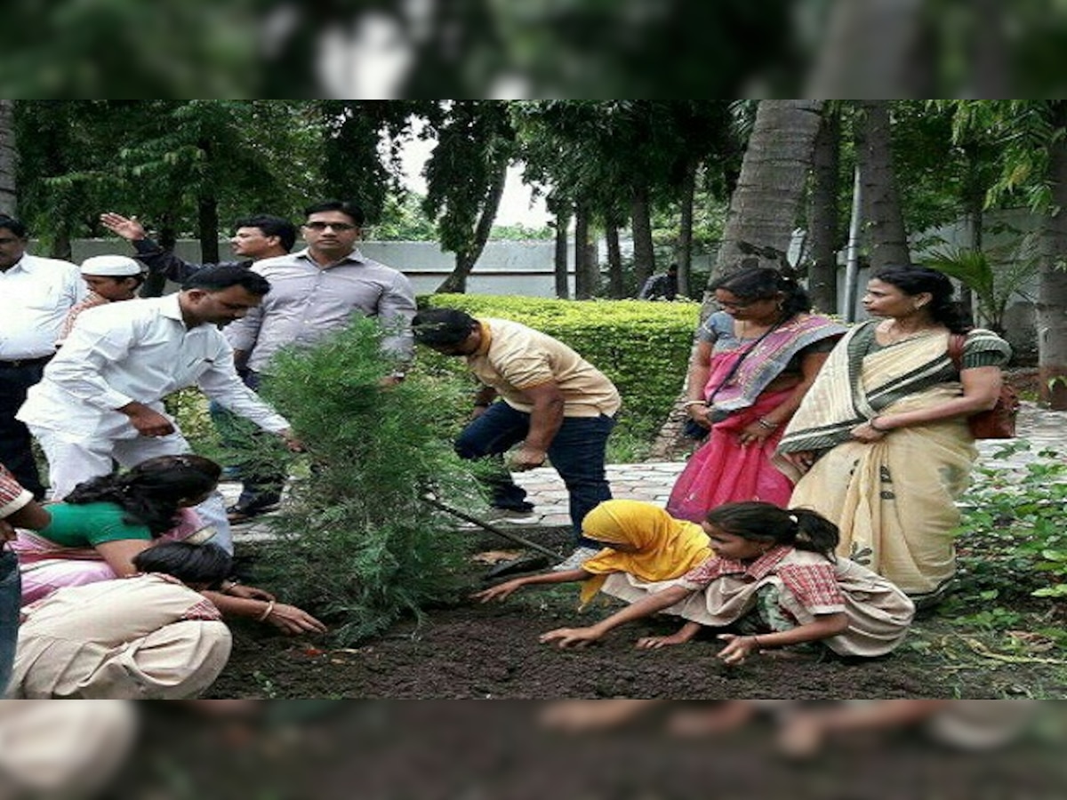 Maha tree plantation drive exceeds four crore target succesfully
