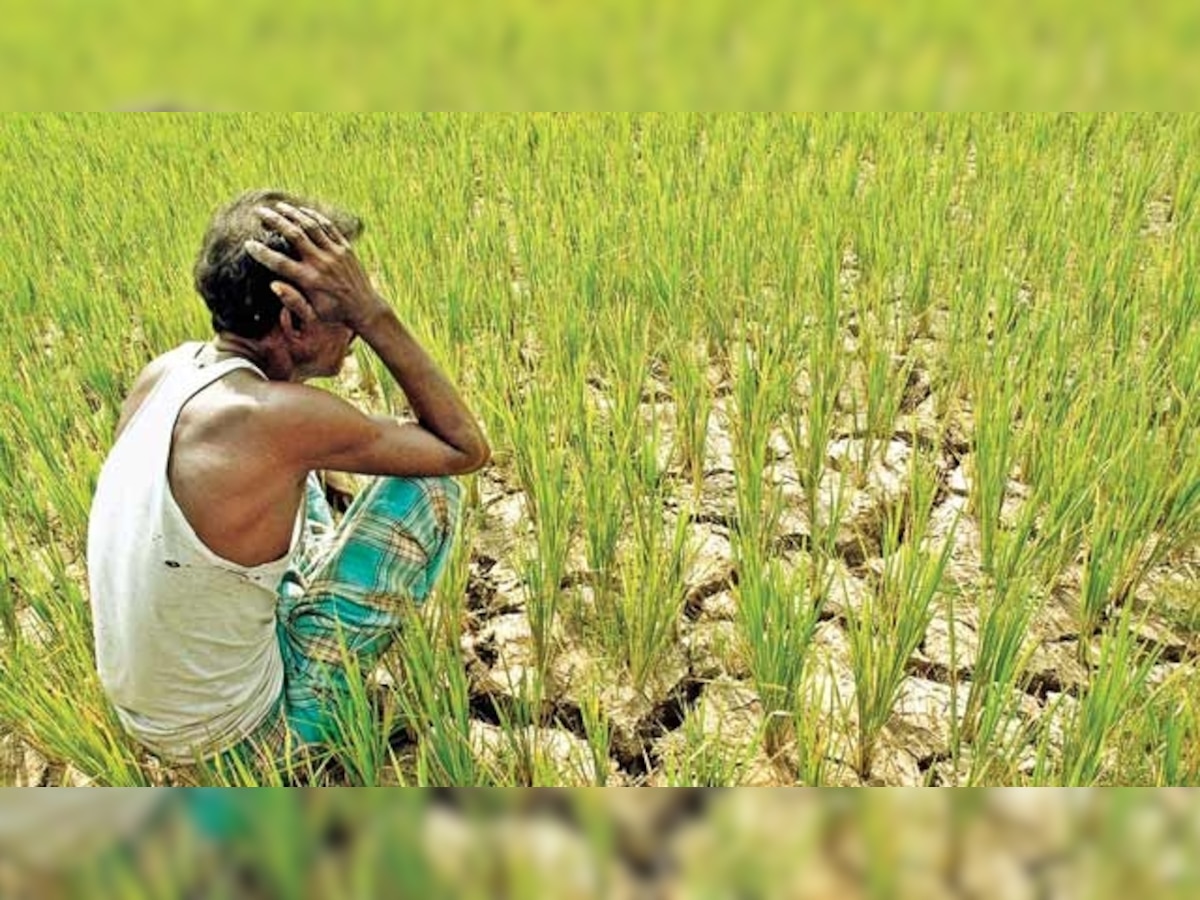 Climate change behind 59,000 farmer suicides in India: study