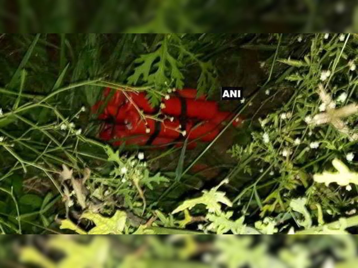 Explosive found near India-Nepal border