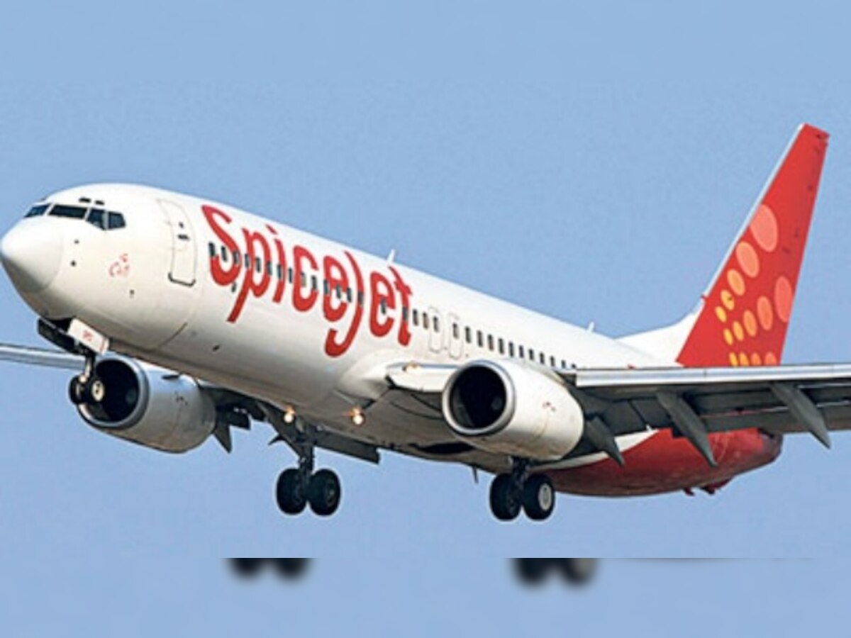 SpiceJet net profit increases 16%