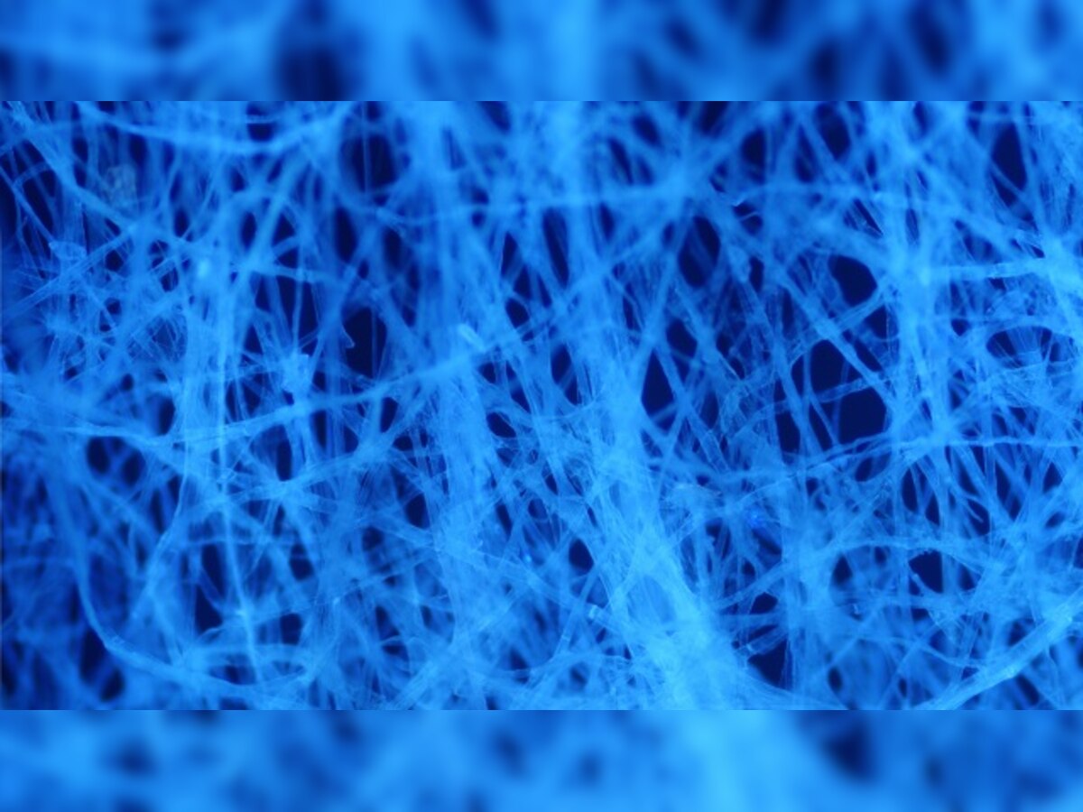 Potential new state of matter discovered