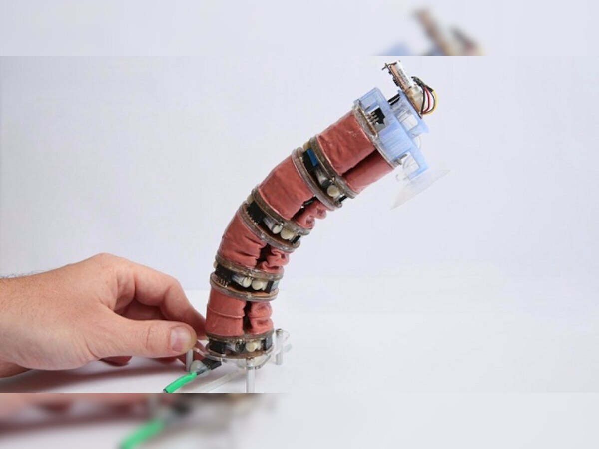 Soft robot powered by vacuum can climb walls, grab objects