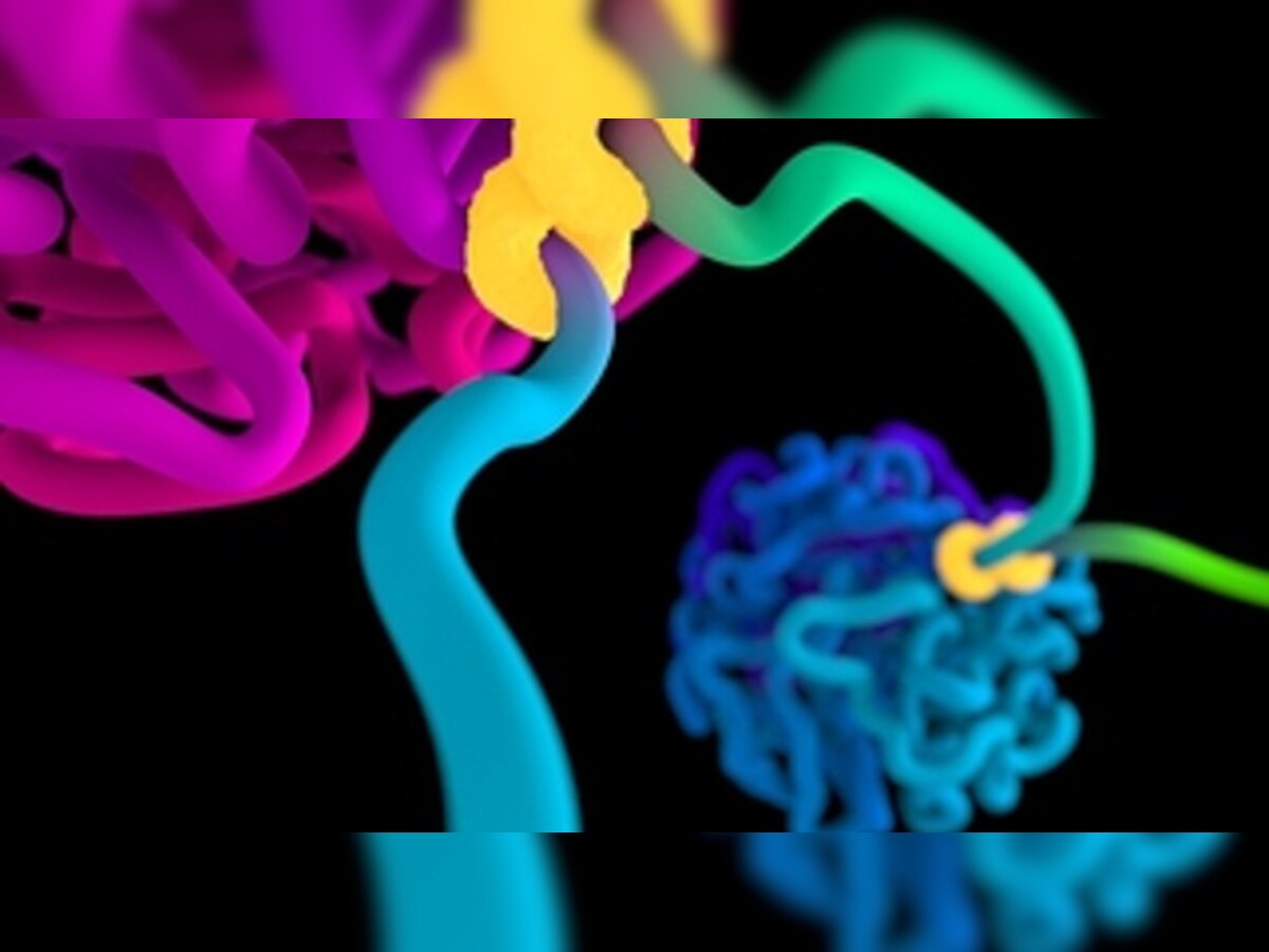First 4D map of human genome folding created
