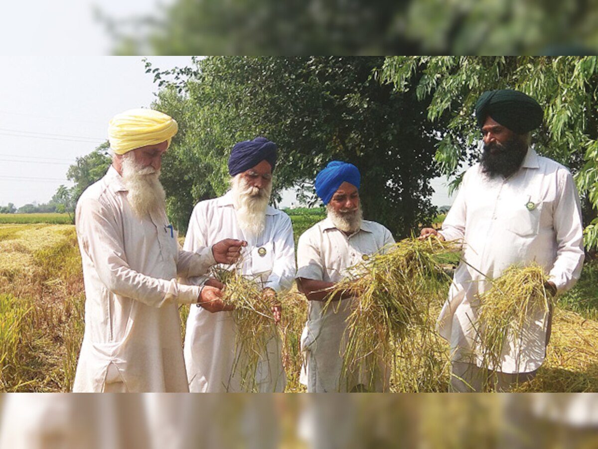 We'll continue to burn stubble: Farmers