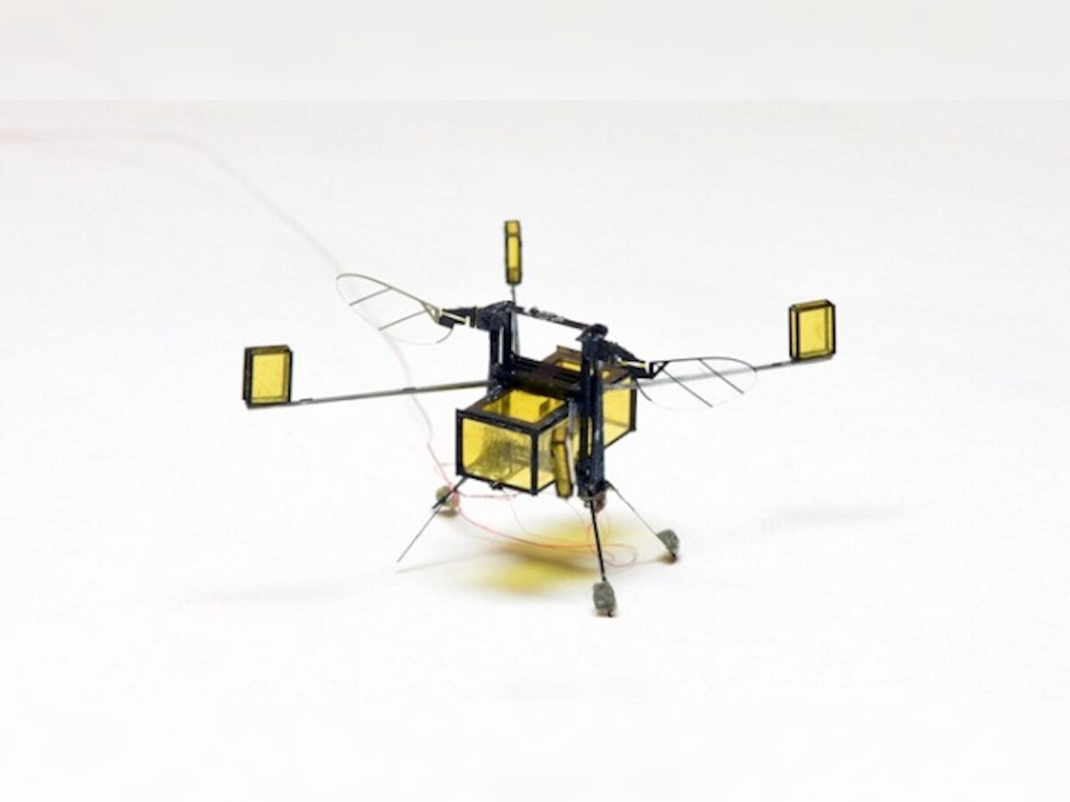 This new hybrid RoboBee dives, swims and explodes out the of water