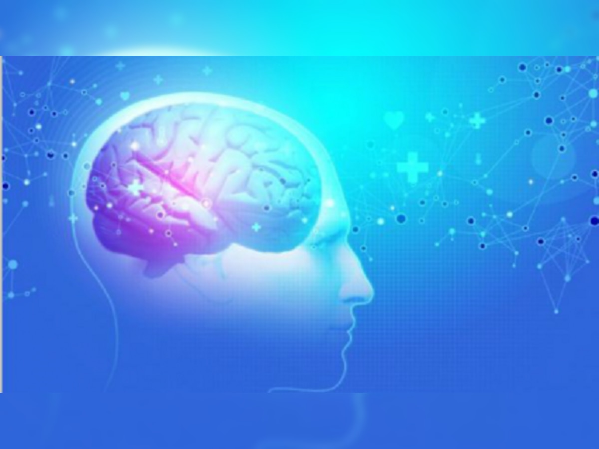 Finally! Brain areas that can be zapped to boost memory identified