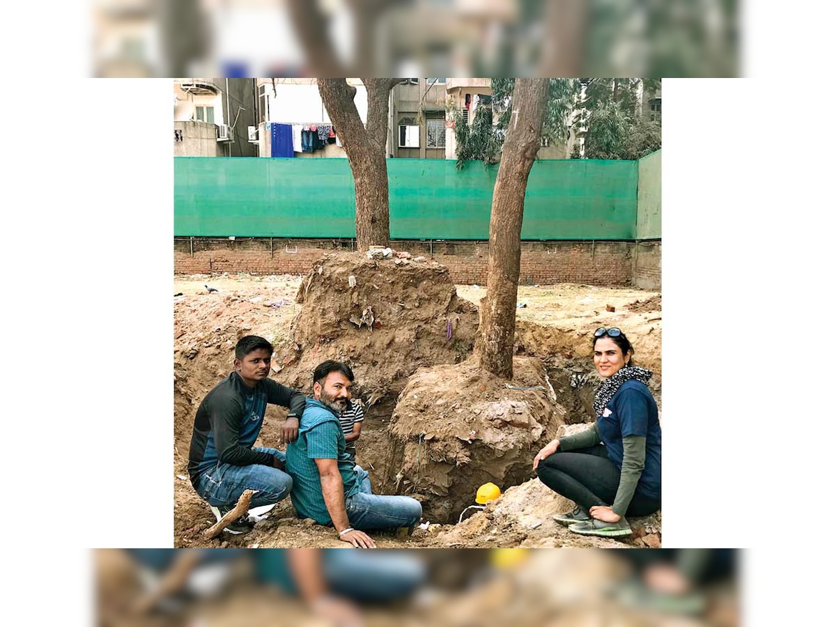 Ahmedabad city woman shows the way; successfully transplants two trees