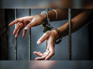 Mineral water baths land fugitive Tatya Patel in cop's net