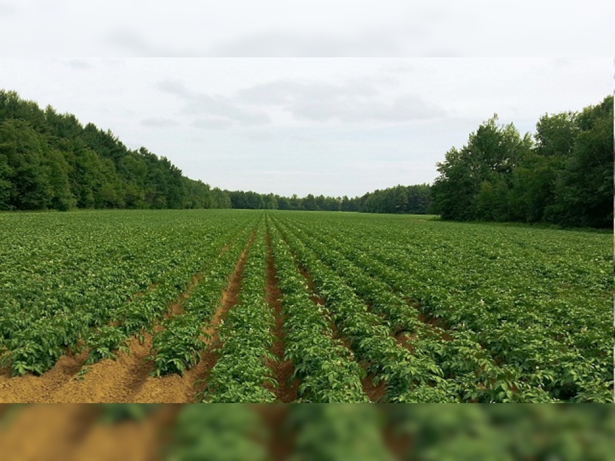 AI-enabled system for 'smart' aqua farming developed