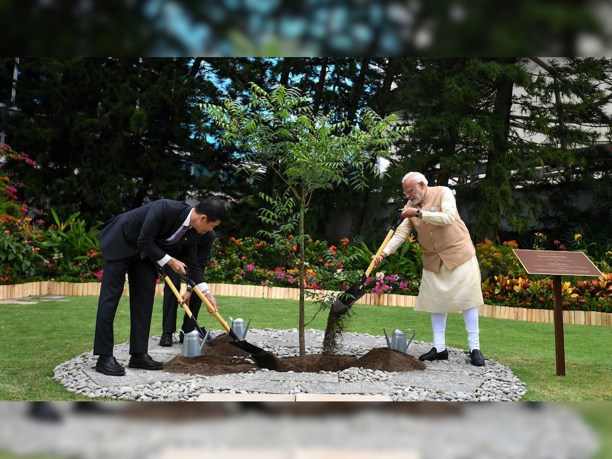 PM Modi plants Neem tree at Singapore's Nanyang Technological University