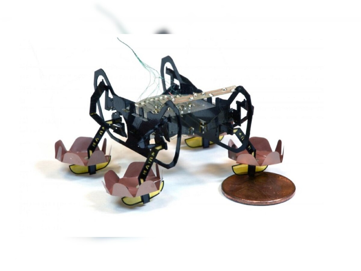 New robotic cockroach can actually walk on water: Here's how