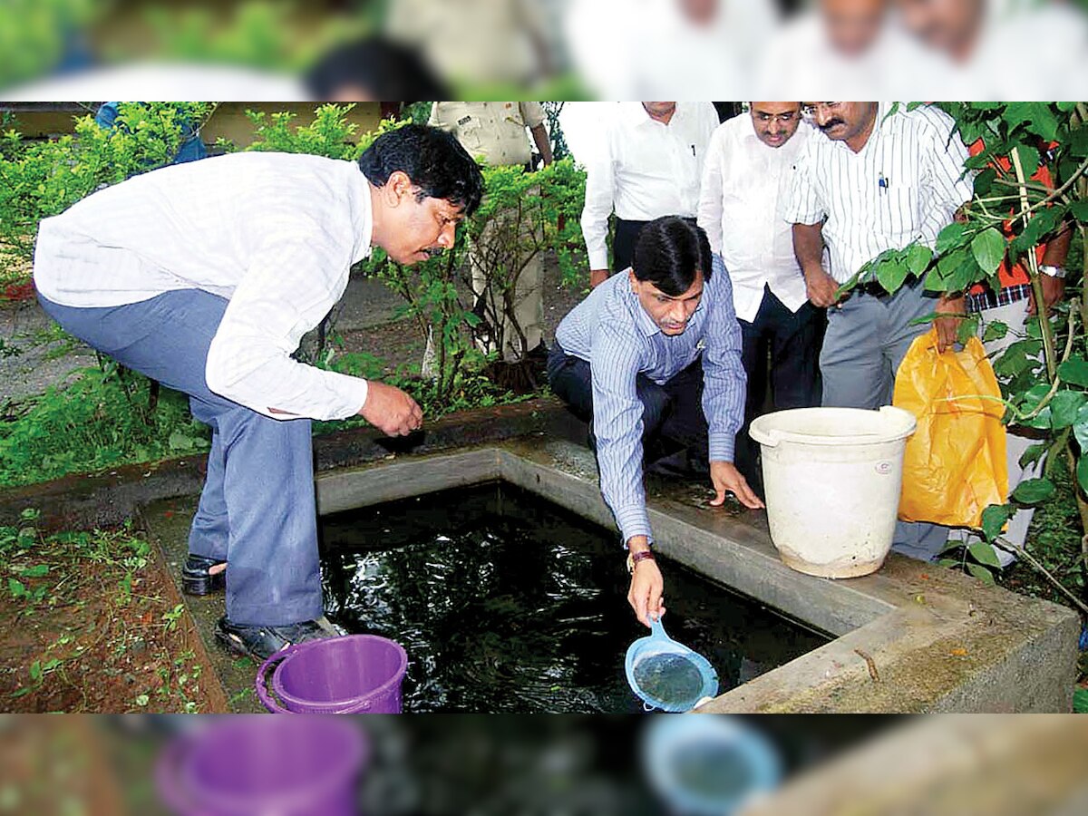 For sustainibility, Maharashtra government looks to captive fish breeding