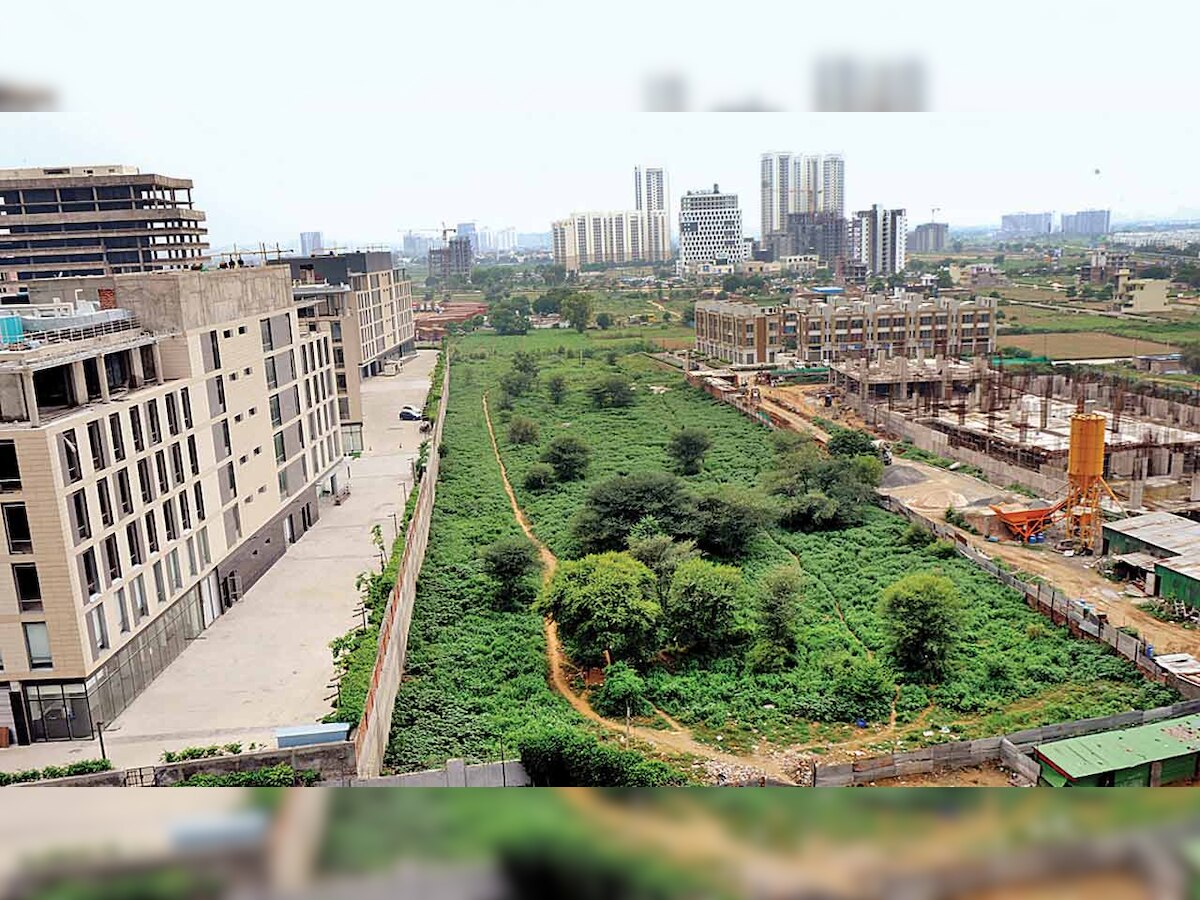 DNA EXCLUSIVE: 'Vadra Land' becomes cynosure of all eyes in Gurugram