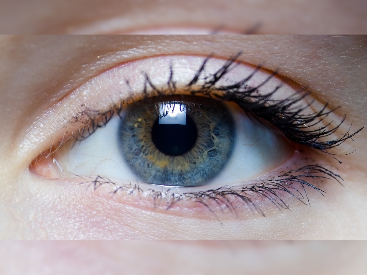 Decoded: Eyes have a natural version for night vision