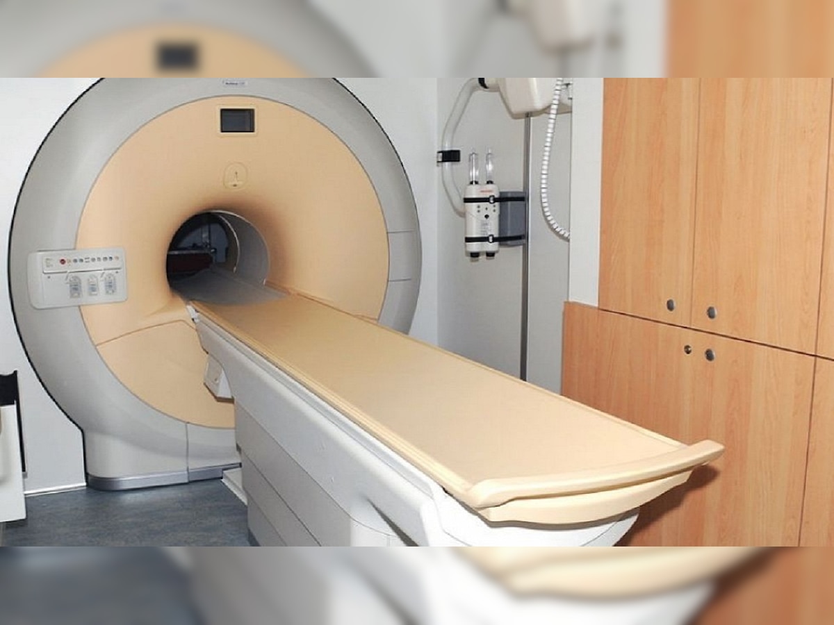 Injured Snake undergoes MRI scan for broken spine