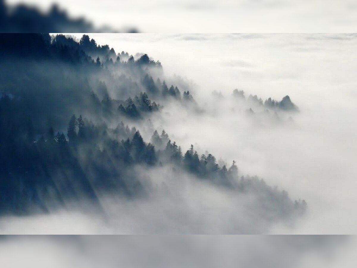 IIT scientists develop material that can harvest water from fog