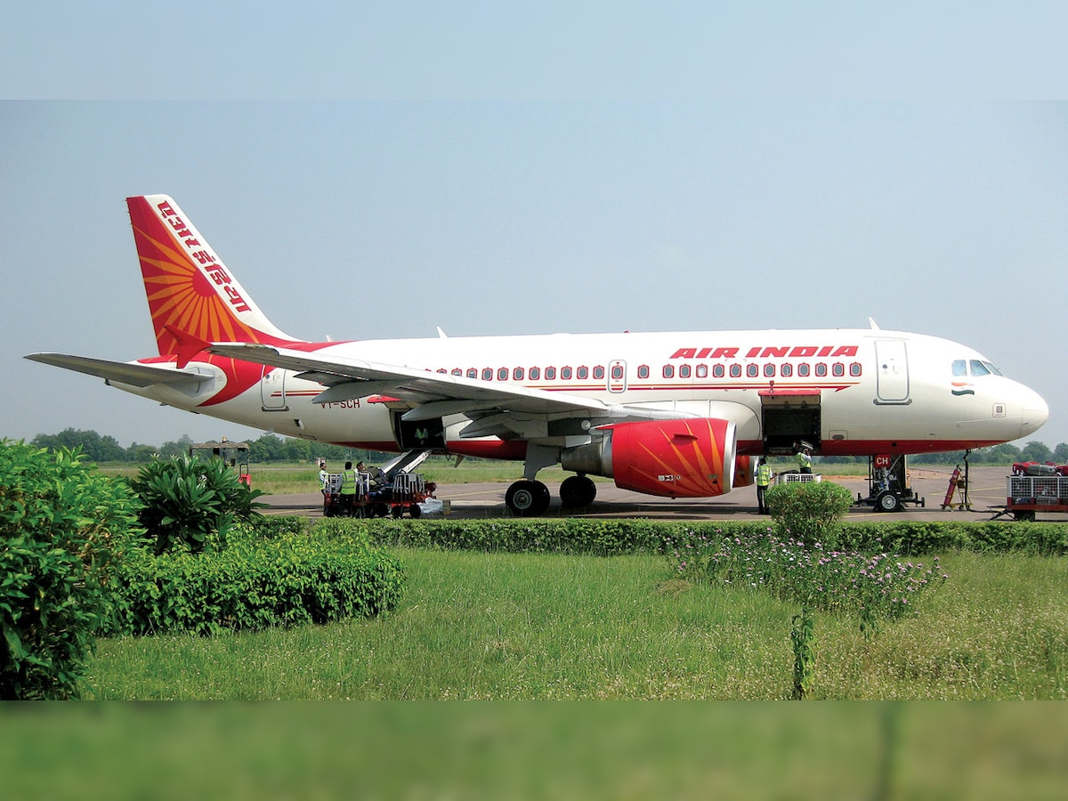 Air India travel partners face Rs 1,825 cr revenue hit on solo ...