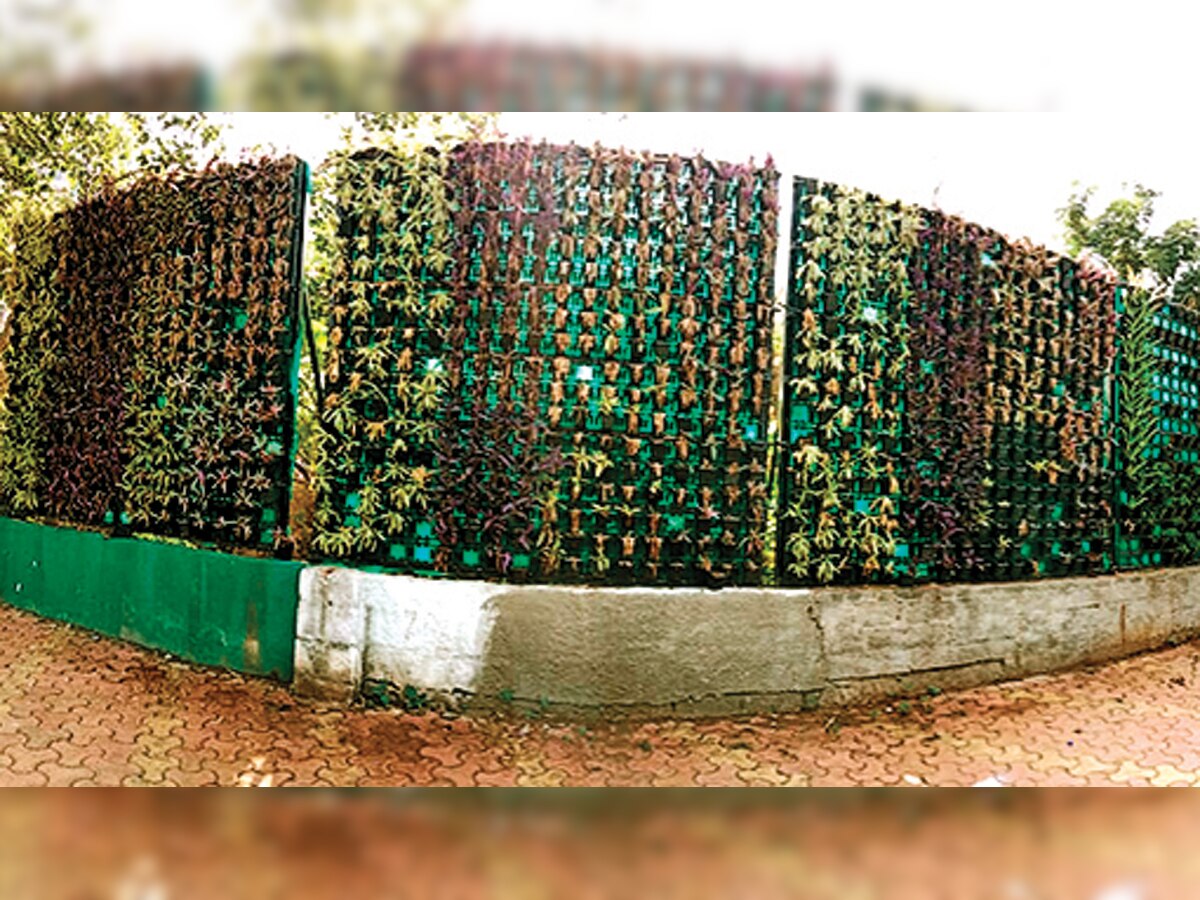 Biofence to protect Mumbai’s mangroves