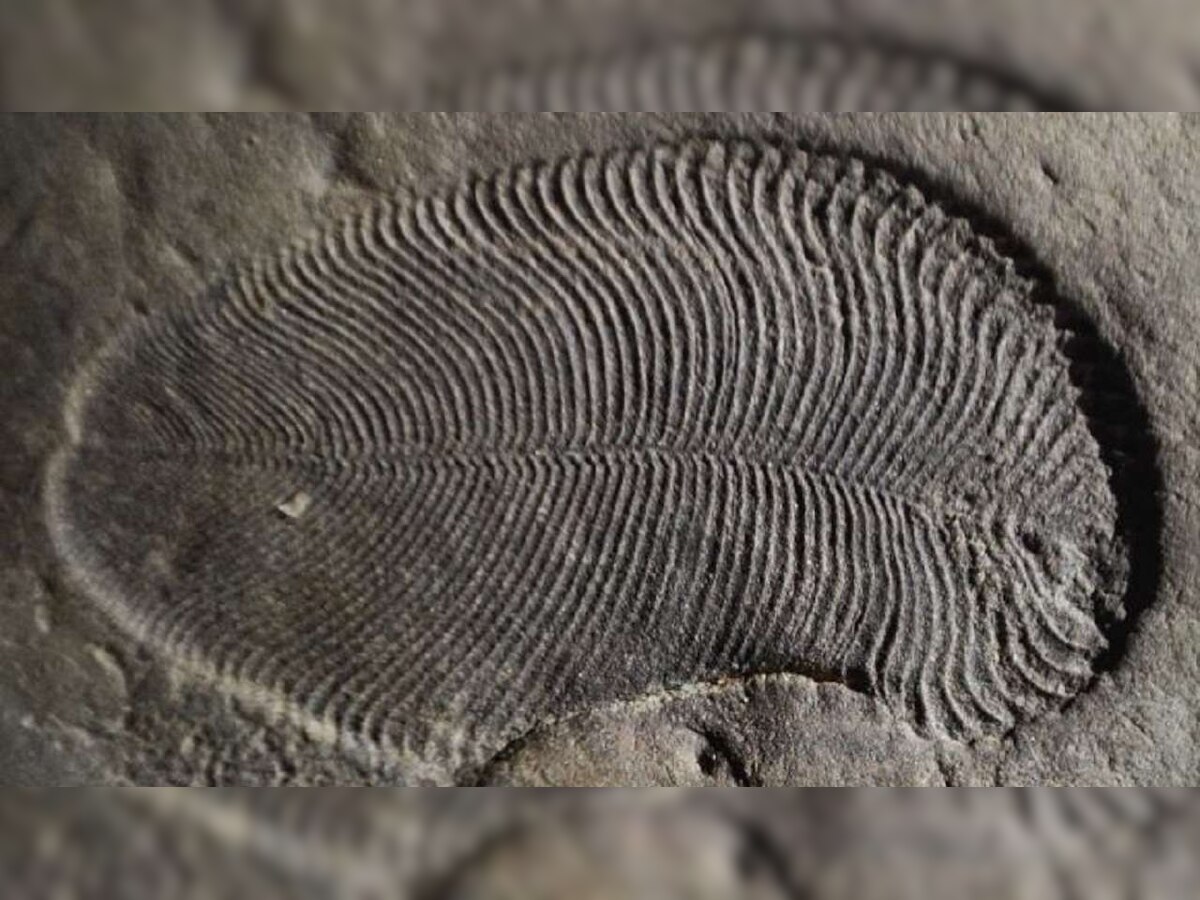 Scientists discover new 'biosignature' to track remains of ancient life