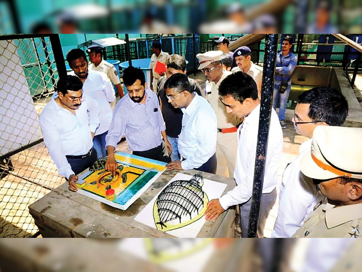 Dahanu to get centre dedicated to turtle conservation