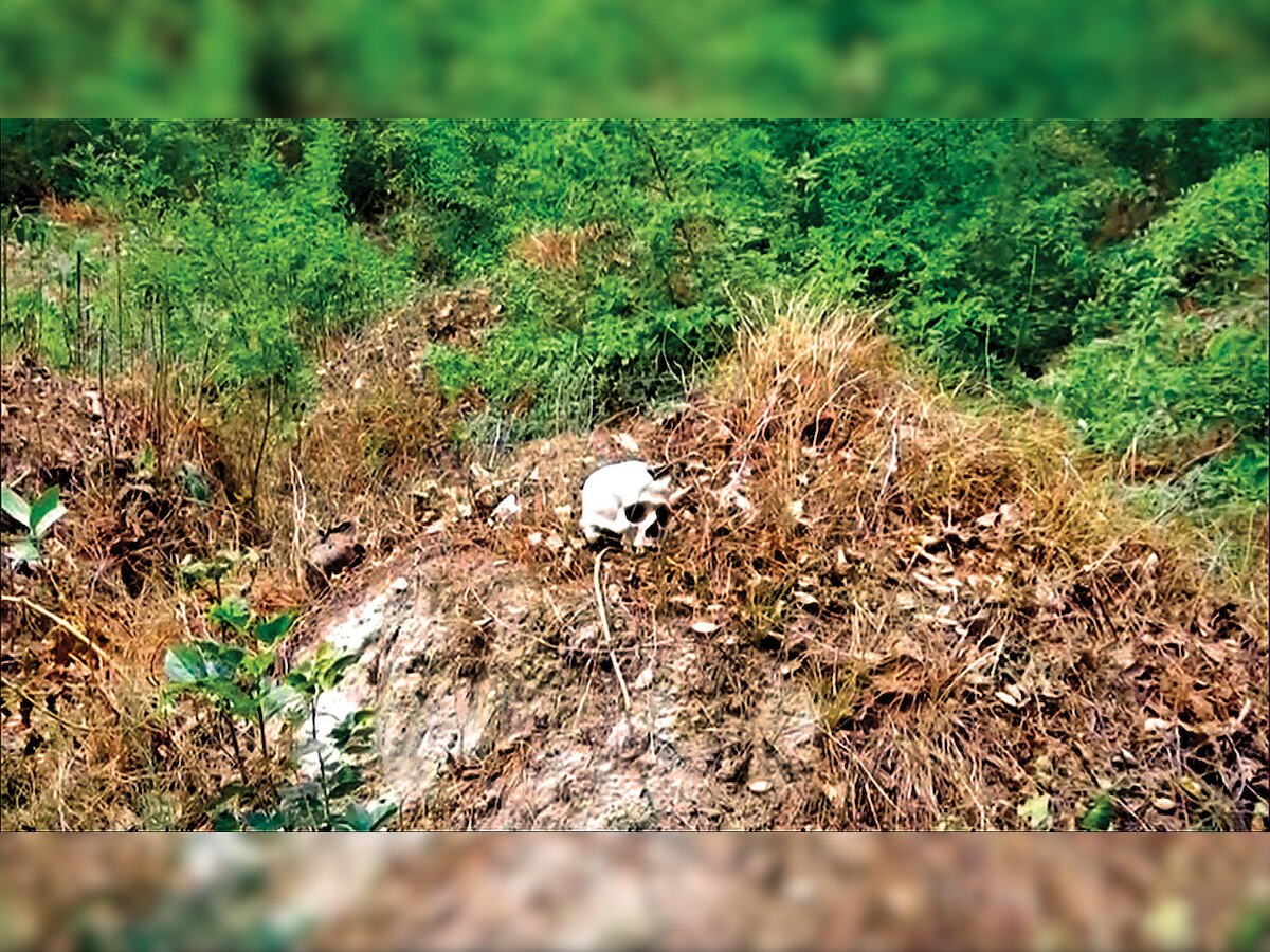 Bihar: As AES deaths mount, human skeletons found near hospital