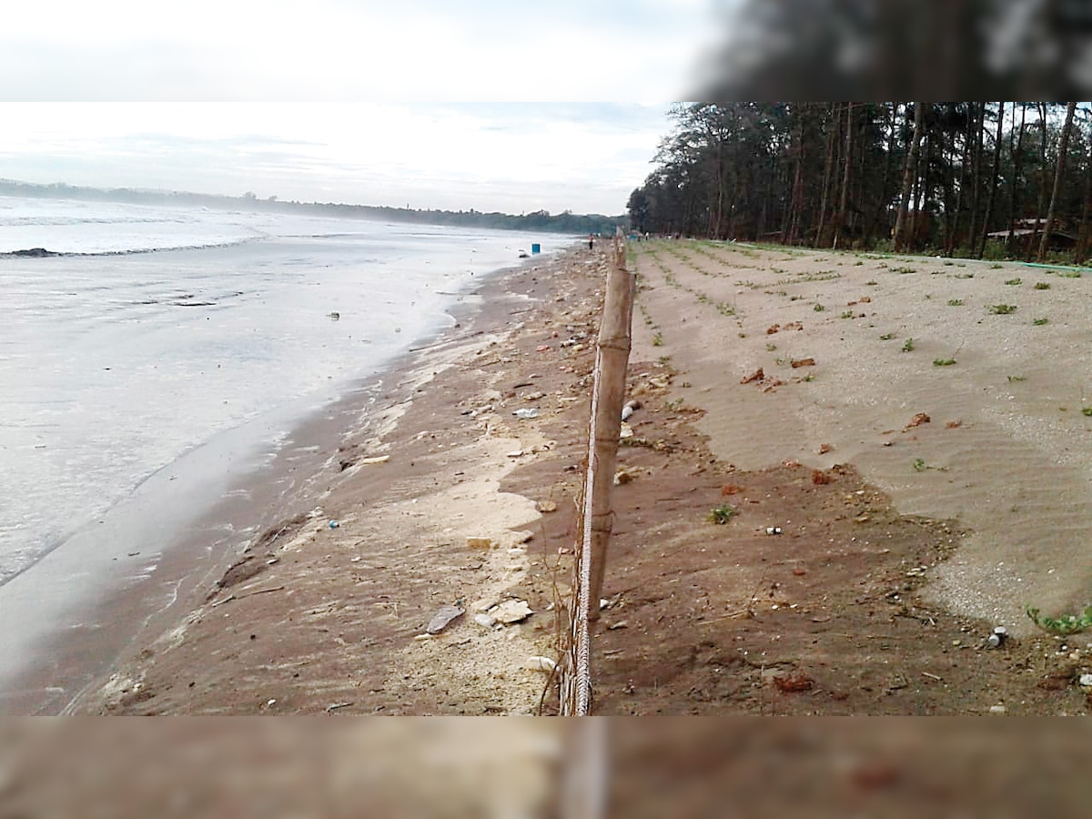 Maharashtra gets its first climate resilient beach at Ratnagiri