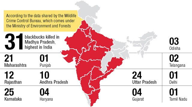 139 blackbucks killed in 10 years