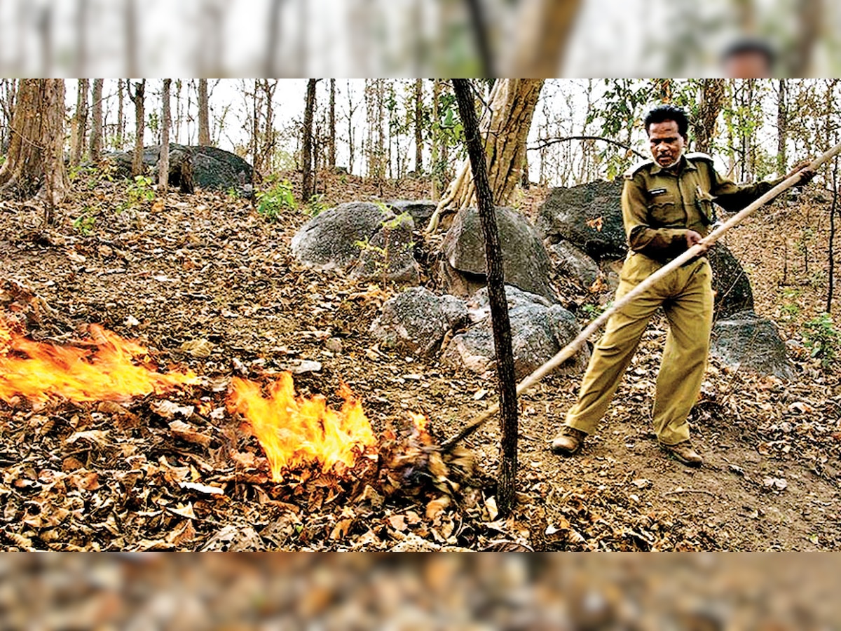 Focus on quality of life, mental health of Forest Guards: Study