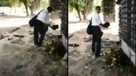 Viral video: Man steals pot plants from Delhi's vertical garden, leaves ...