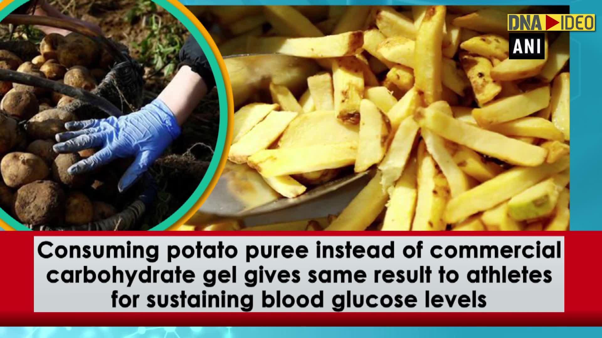 Study reveals potatoes boost athletic’s performance