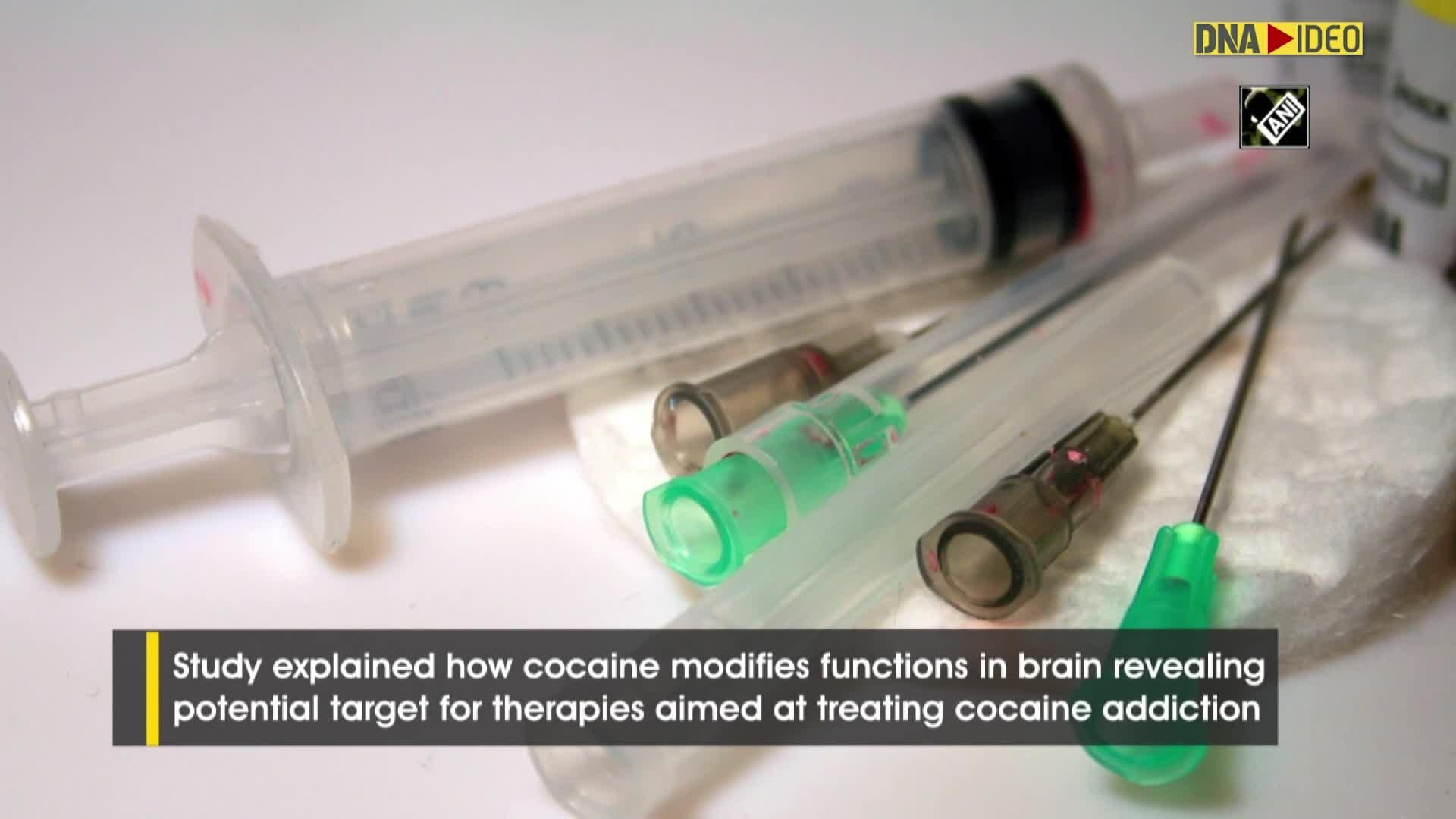New study reveals potential therapeutic target for treating cocaine ...