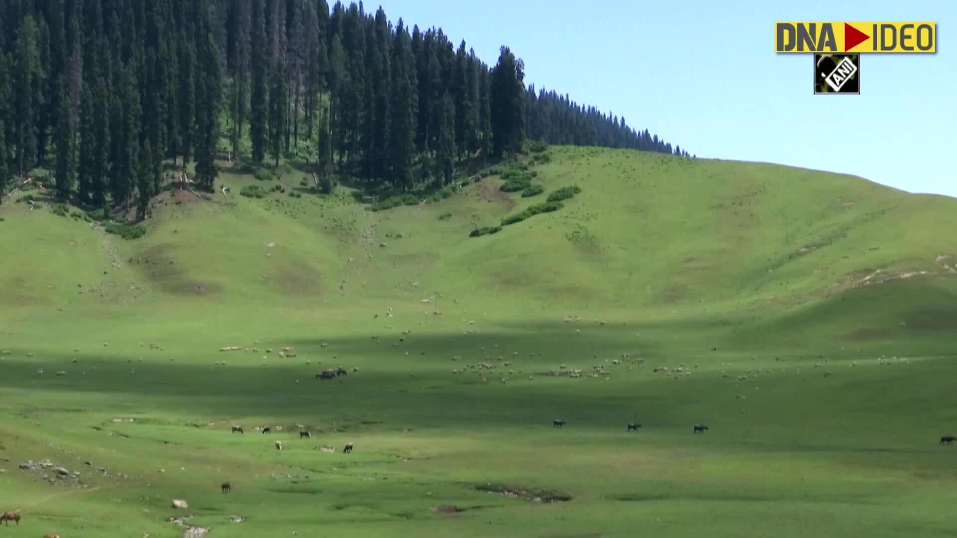 Road connectivity to Kashmir’s Bangus Valley to make tourist experience ...