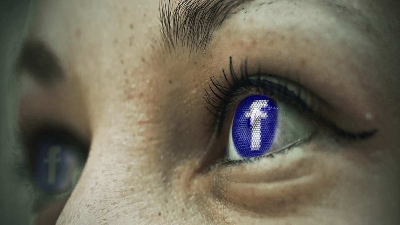 DNA Explainer: How to check you are among 533 million Facebook users ...