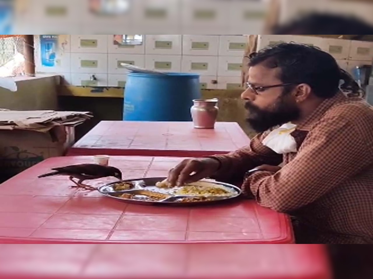Bird eats food from the same plate with man, video goes VIRAL