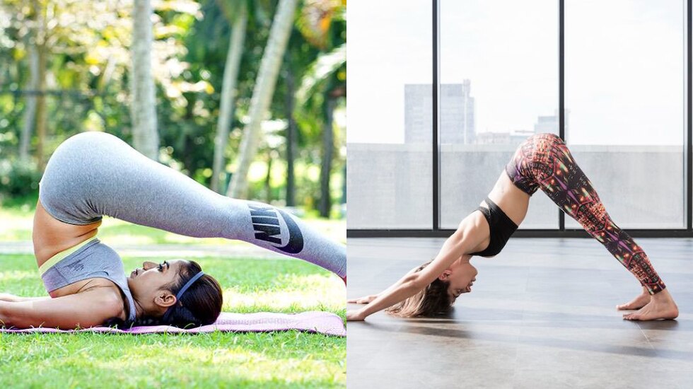 International Yoga Day 2021: Know the benefits of Vinyasa and Hatha ...