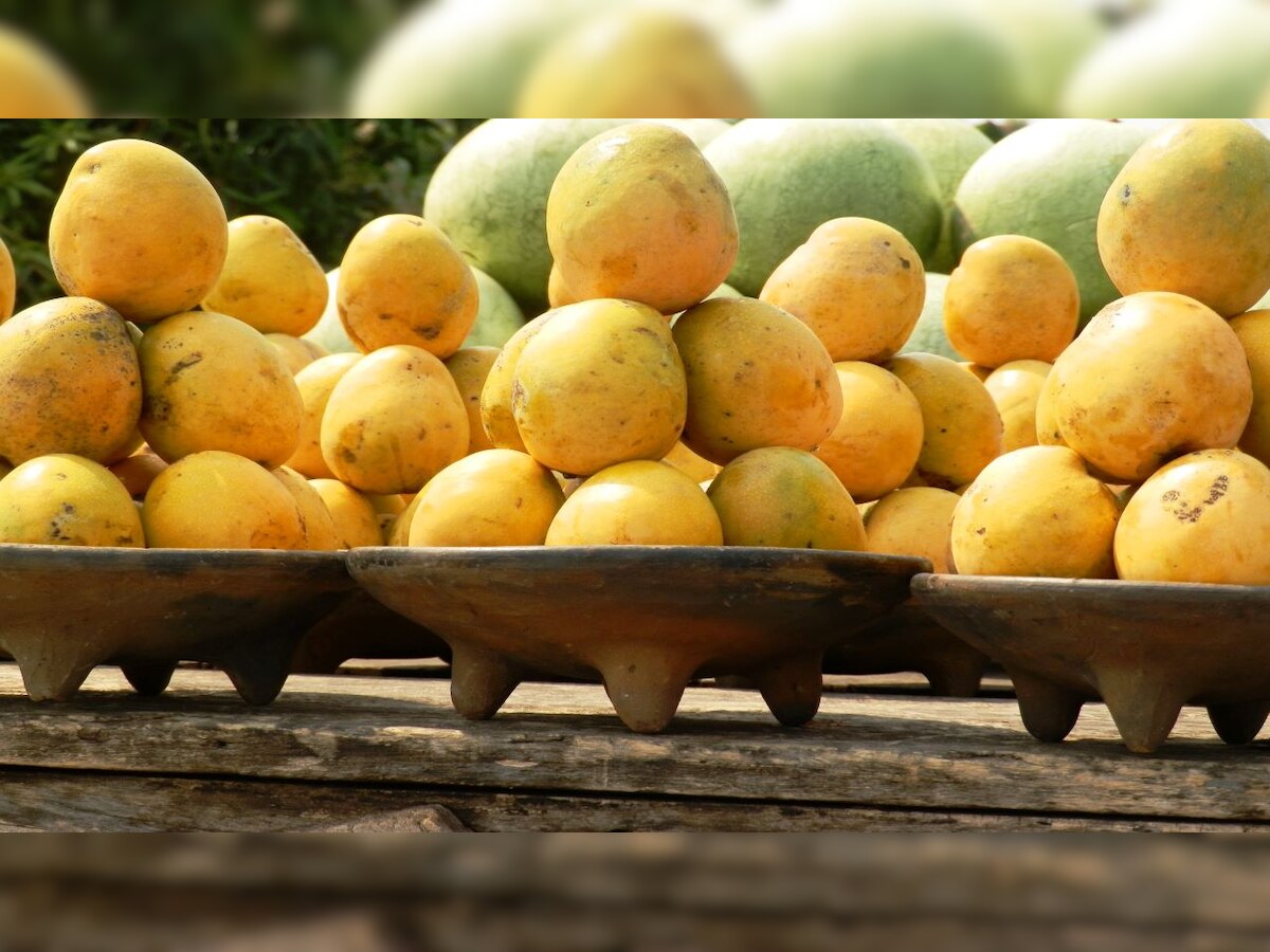 National Mango Day 2021: History and significance of the tropical fruit