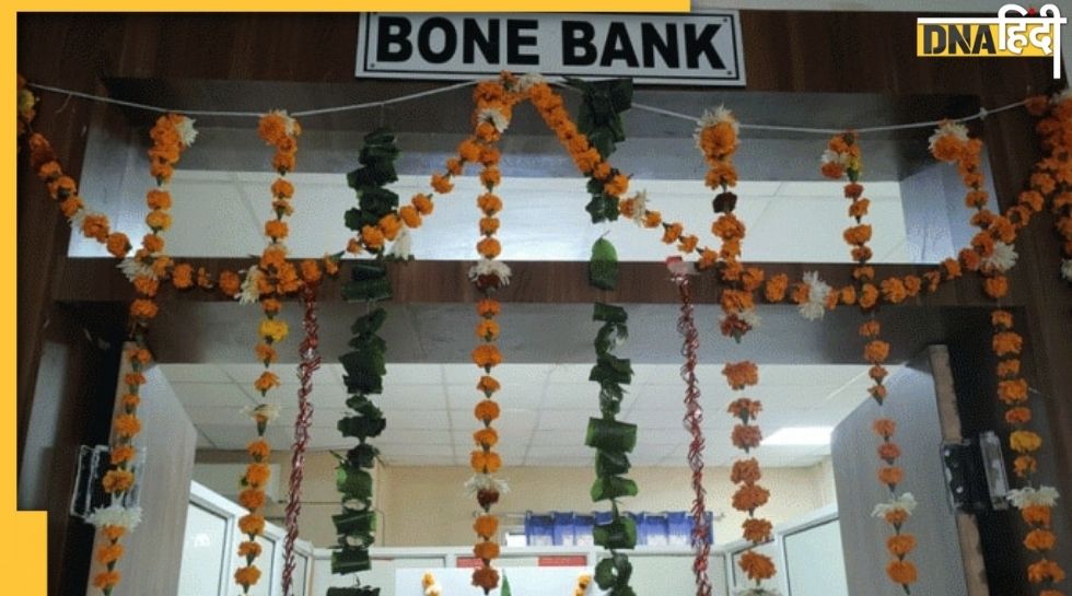 Rajsthan में खुला पहला BONE BANK, बोन कैंसर, बोन रिप्लेसमेंट समेत इन ...