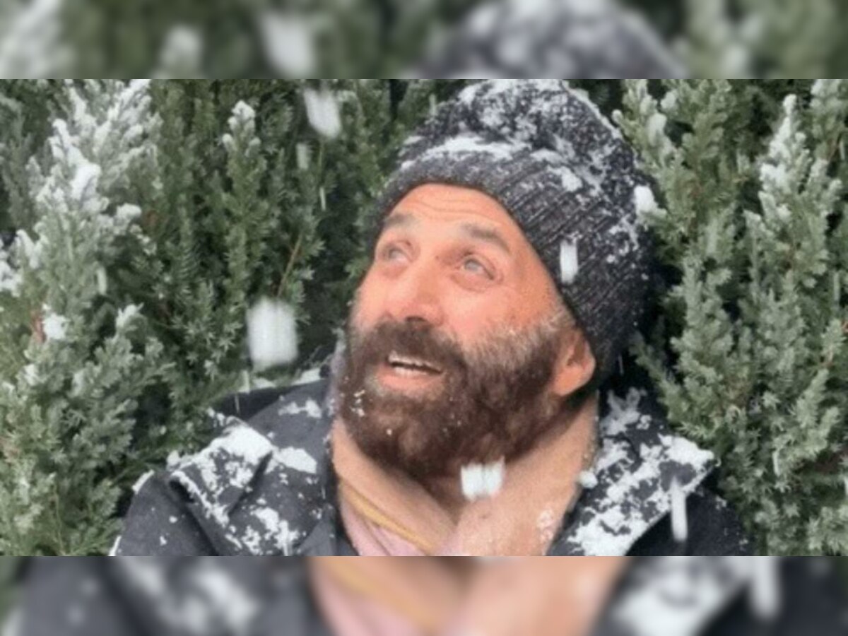 Dharmendra shares pic of Sunny Deol enjoying snowfall, fans say THIS