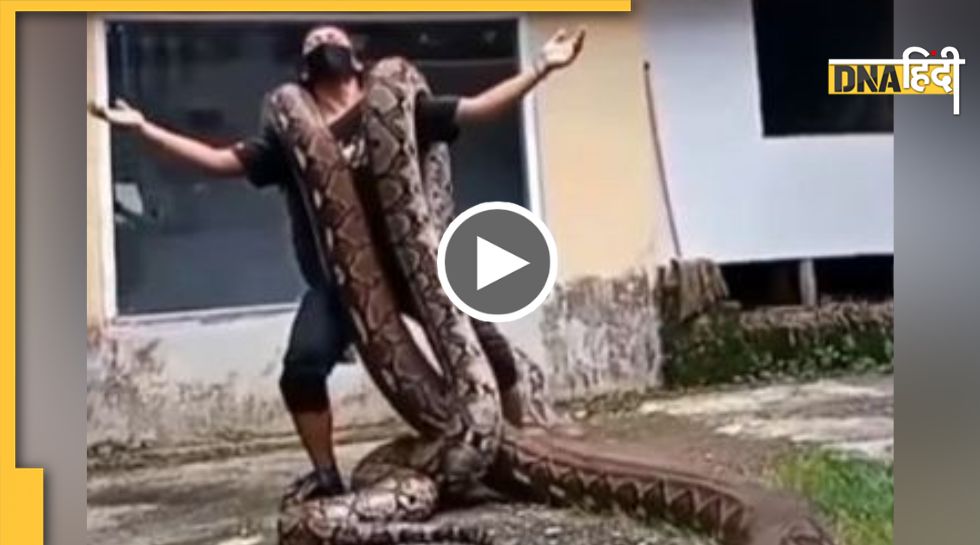 VIDEO: गले में दो अजगर लटकाकर नाच रहा था शख्स, लोग बोले जिंदगी से प्यार ...