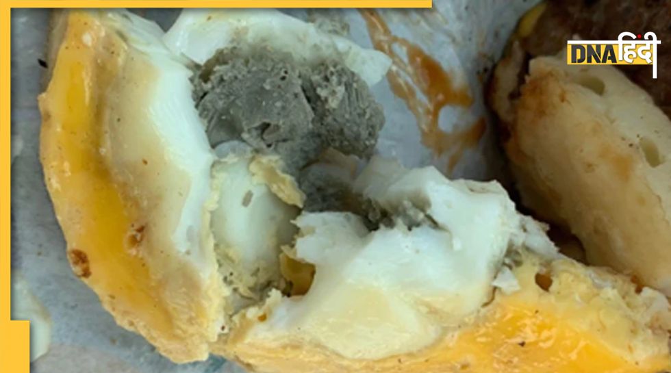 Weird: महिला ने ऑर्डर किया एग बर्गर, घर आई ऐसी चीज कि खाते ही आ गई उल्टी