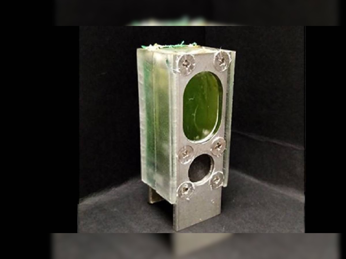 Algae powers microprocessor for over a year, can become energy source ...