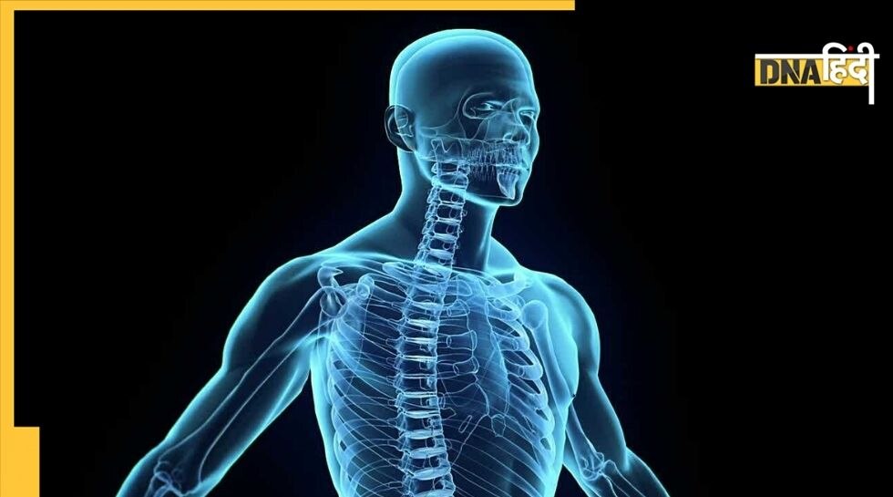 FACT: शरीर का ये हिस्सा इस्तेमाल करता है सबसे ज्यादा एनर्जी, हैरान कर ...