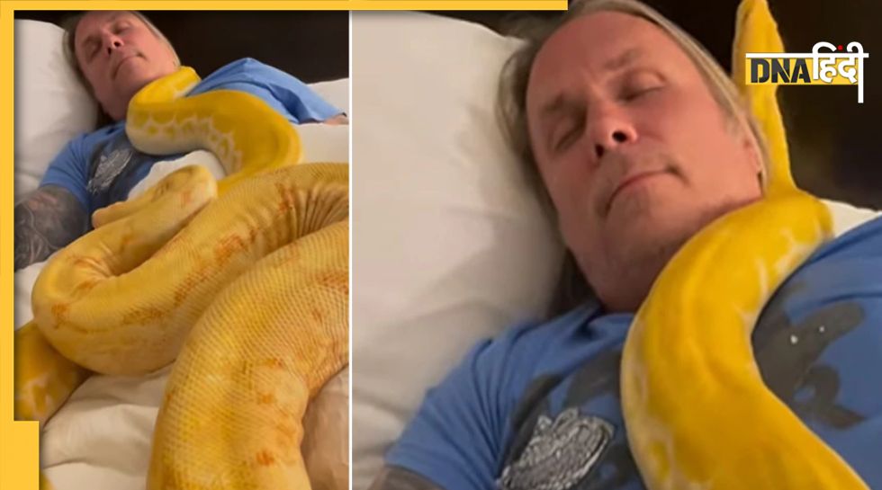 Snake Video: बेड पर सो रहा था शख्स, रेंगते-रेंगते सीने पर चढ़ गए दो अजगर