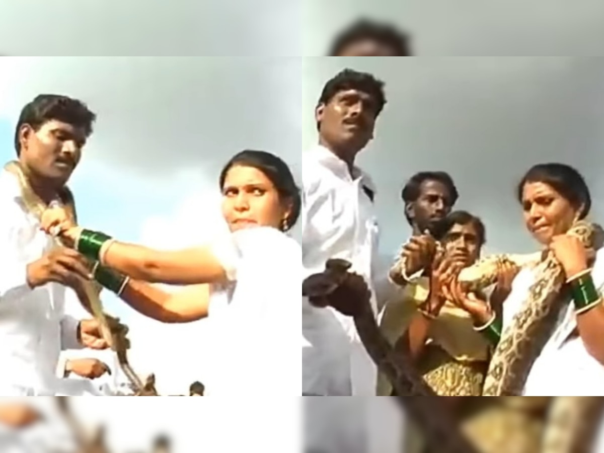 Bizarre wedding celebrations! Couple exchanges snake garlands in ...